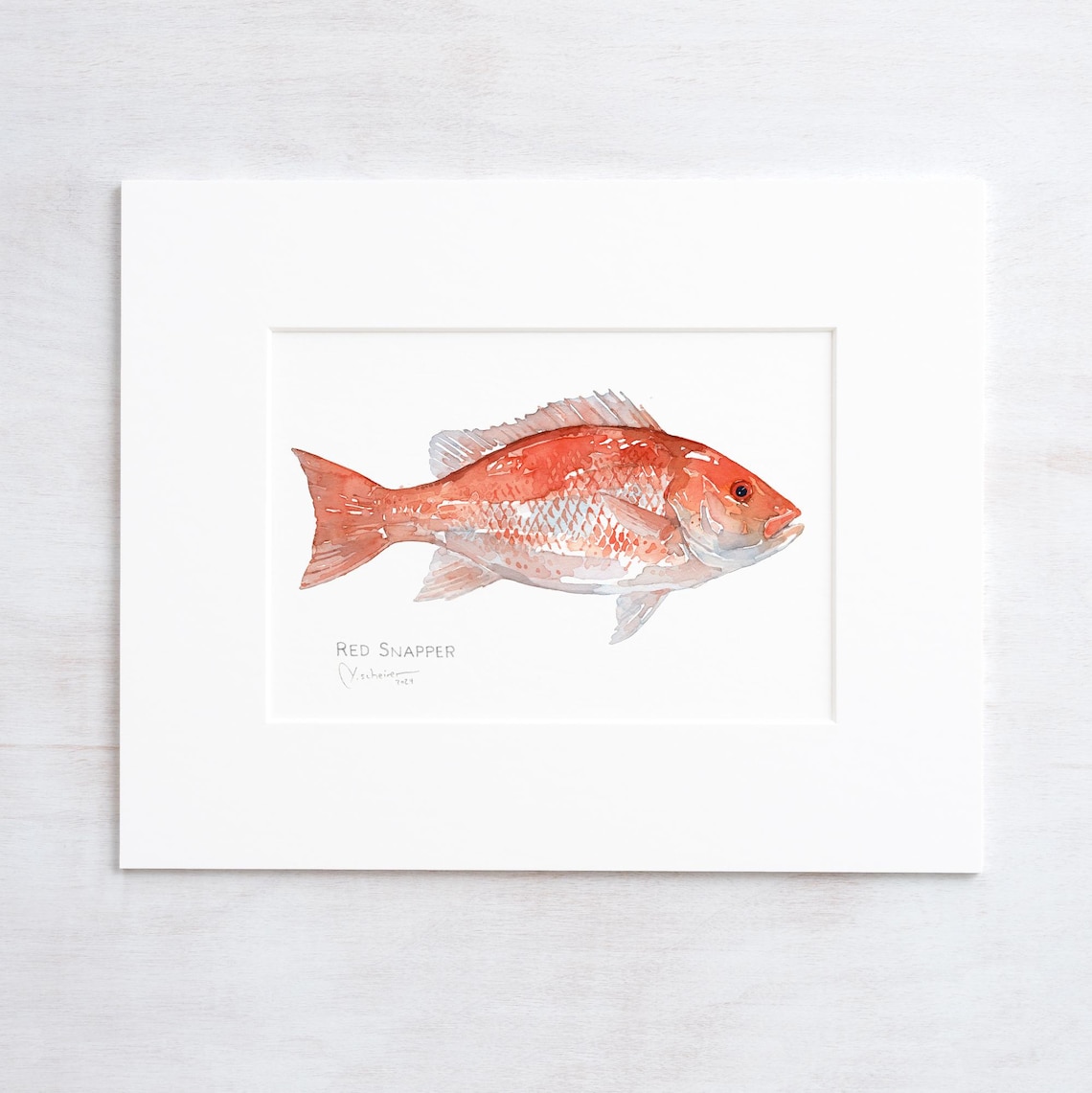 Red Snapper Watercolor Print Fish Painting Coastal Decor - Etsy