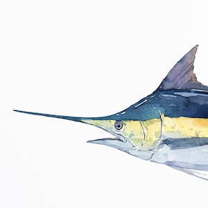 Blue Marlin Watercolor Print: Nautical Fish Painting - Etsy