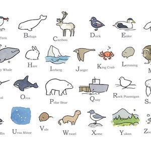 Illustrated Alphabet Arctic North Canada Alaska Nursery Art Print ABC ...