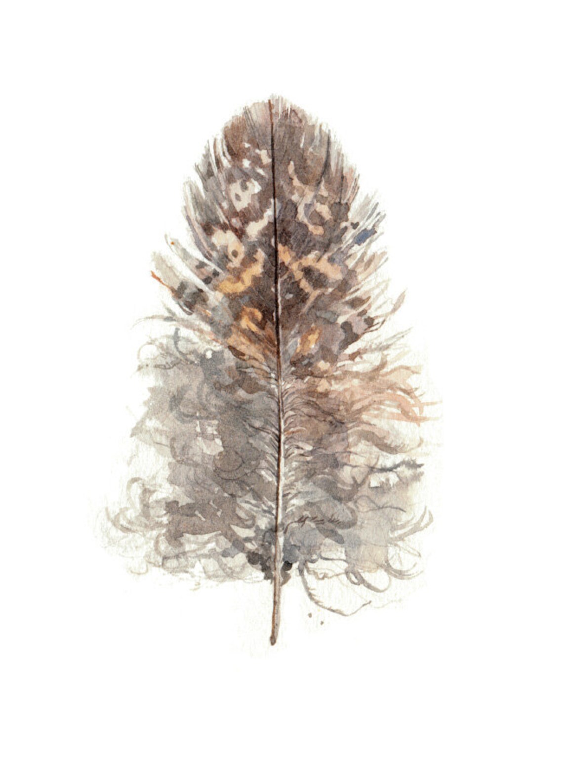 Small Owl Feather Print Nature Watercolor Painting - Etsy