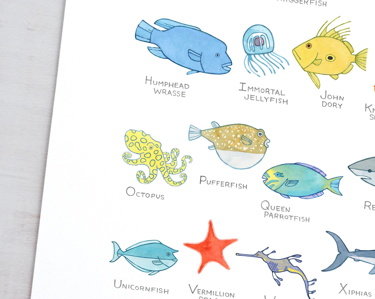 Ocean Animals Alphabet Print Sea Creatures Kids Wall Decor - Etsy