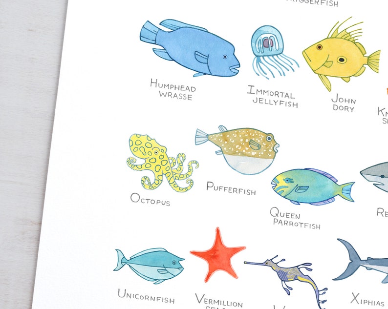 Ocean Animals Alphabet Print Sea Creatures Kids Wall Decor - Etsy