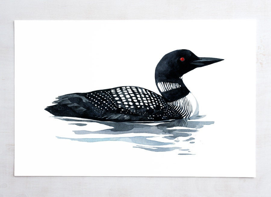 Loon Art