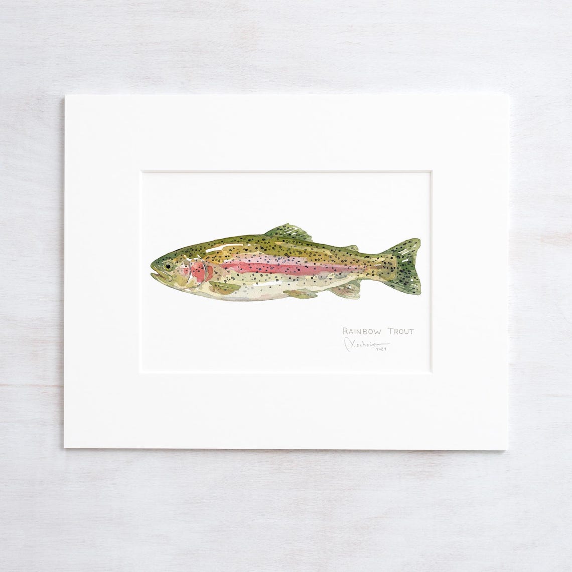 Rainbow Trout Watercolor Print Fish Painting Lakehouse Decor - Etsy