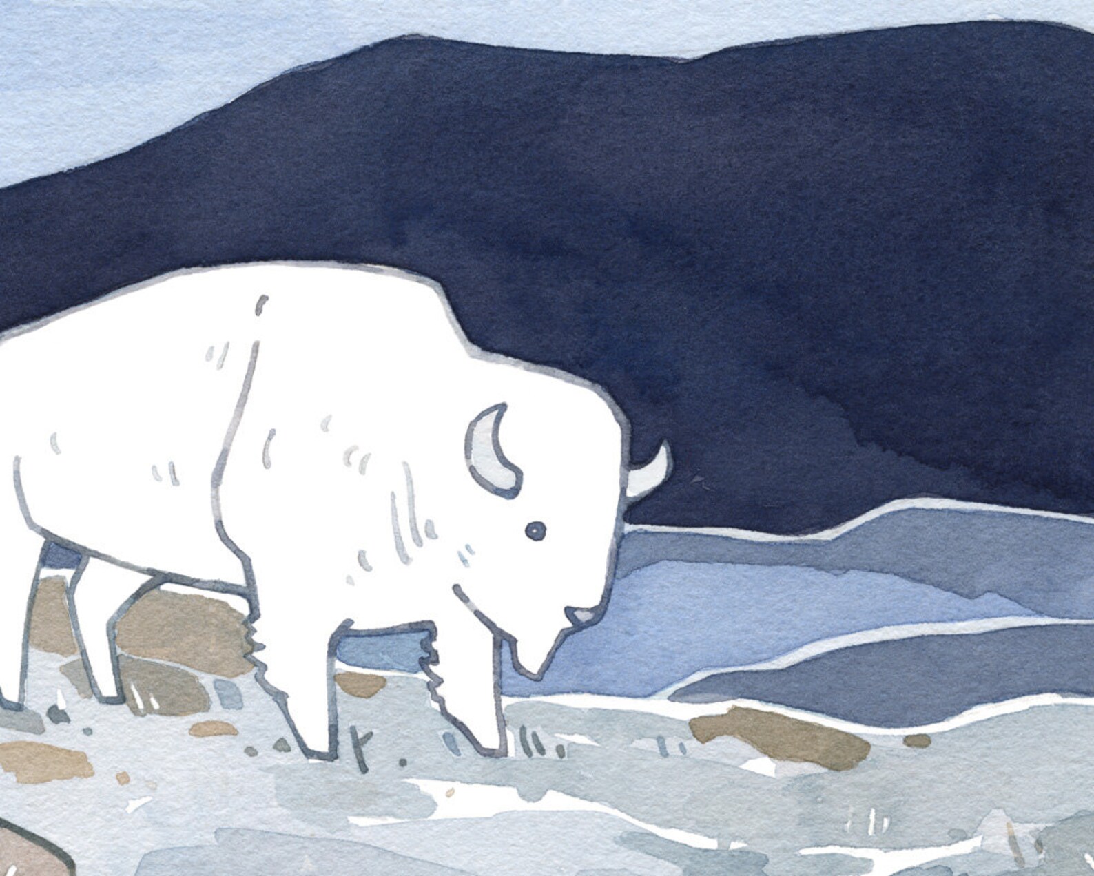 White Bison Watercolor Print American West Animal Illustration Kids ...