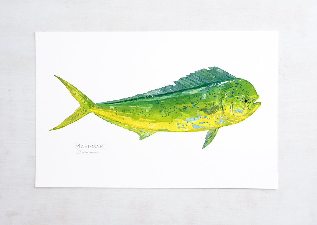 Mahi-mahi Fish Watercolor Print Dolphinfish Painting - Etsy