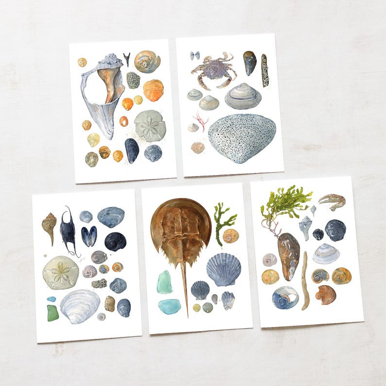 Seashore Card Set Beachcombing Watercolors - Etsy