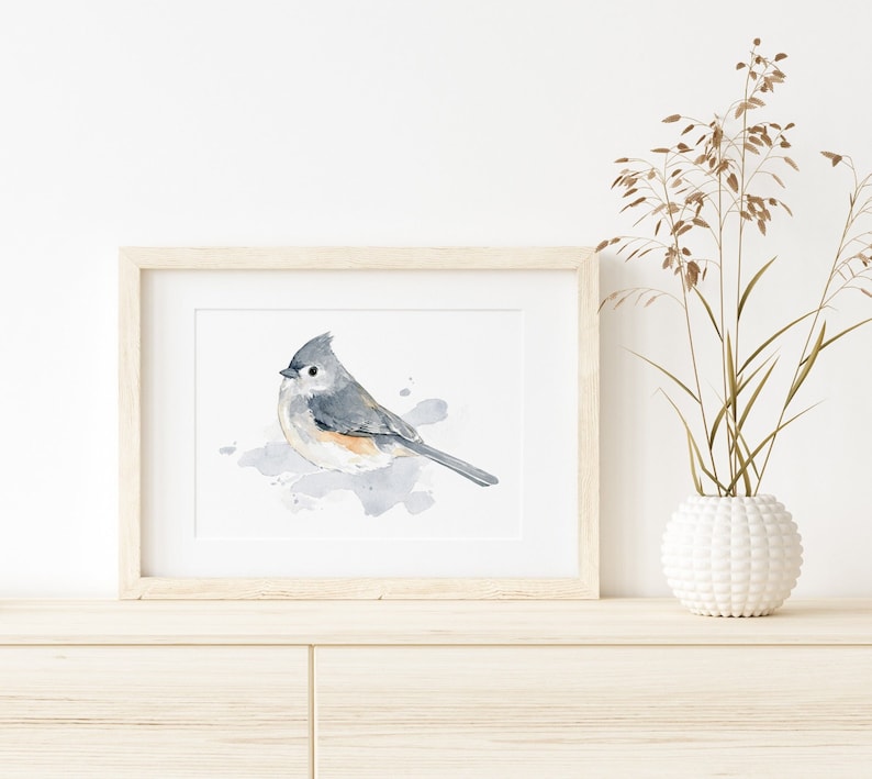 Tufted Titmouse Watercolor Print: Backyard Bird Art - Etsy