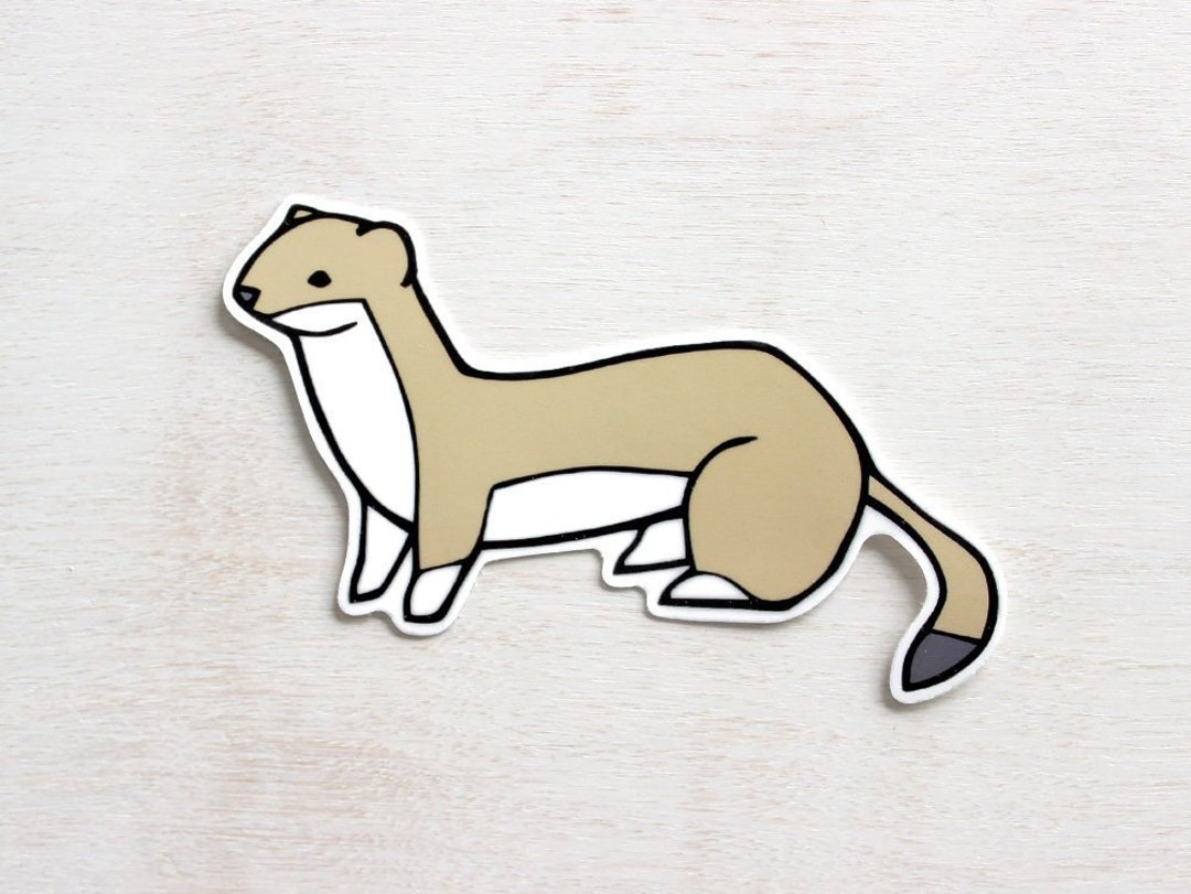 Weasel Vinyl Sticker Whimsical Animal Illustration - Etsy