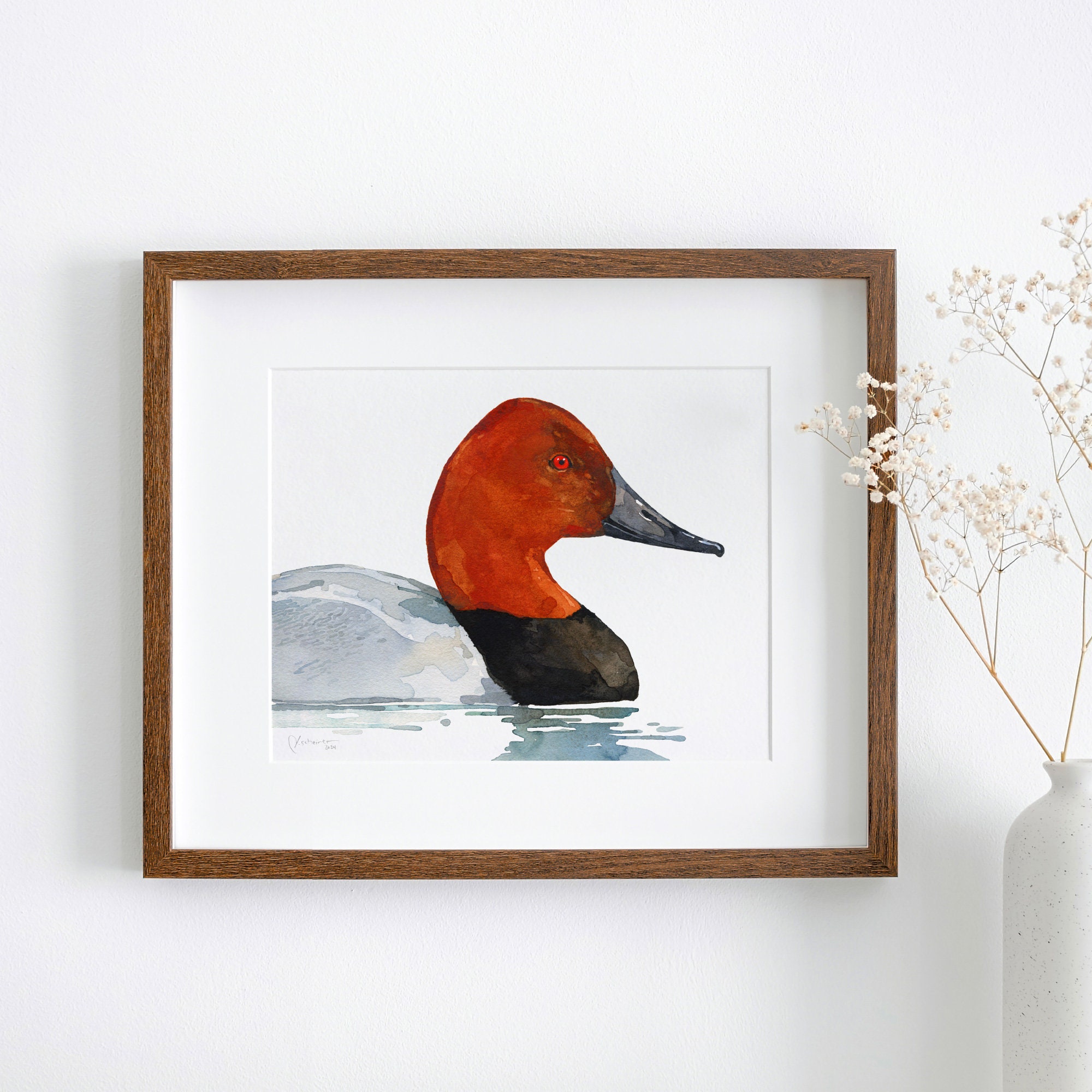 Canvasback Duck Watercolor Print Coastal Bird Painting - Etsy