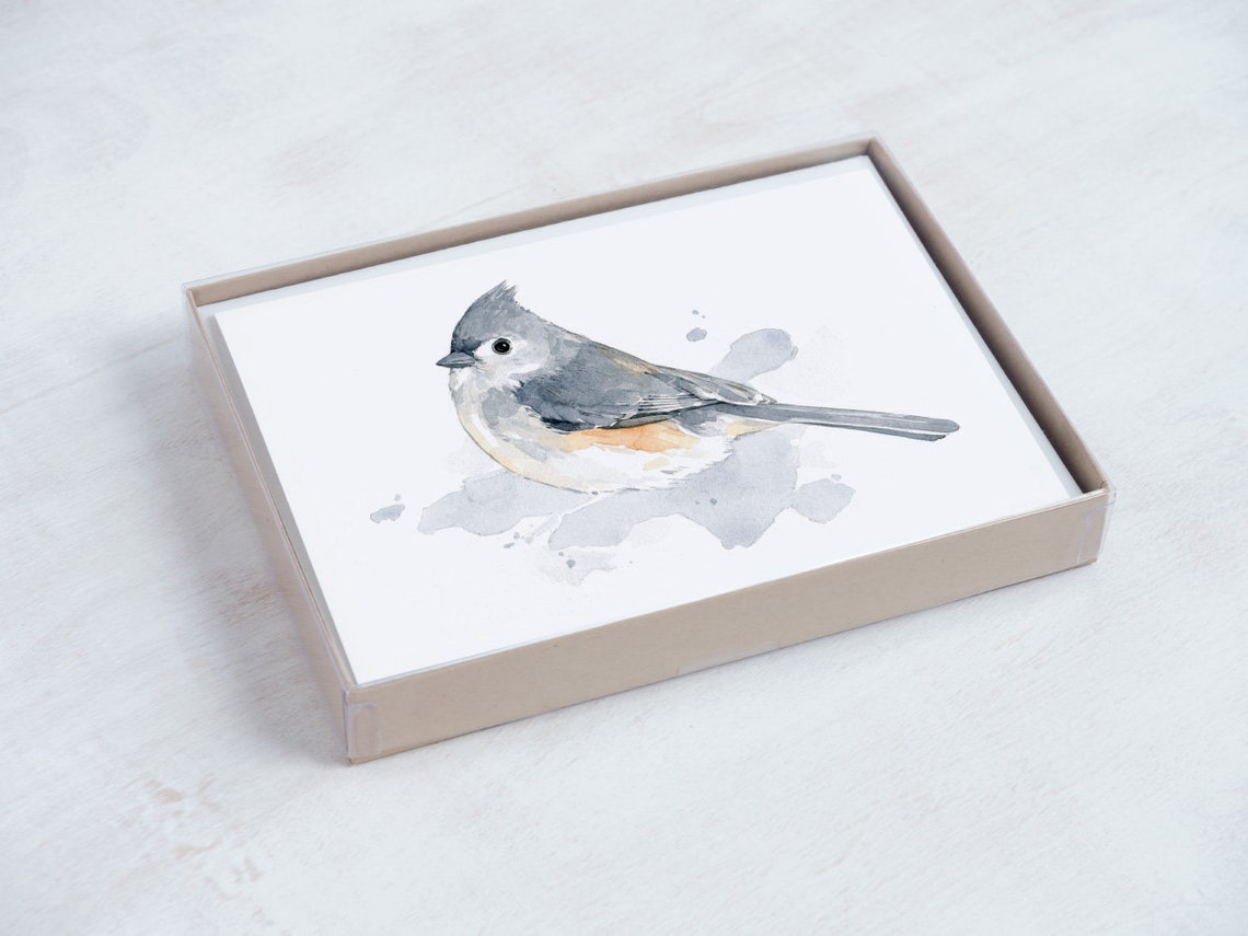Bird Watercolor Card Set Mixed Bird Art Stationery Gift - Etsy