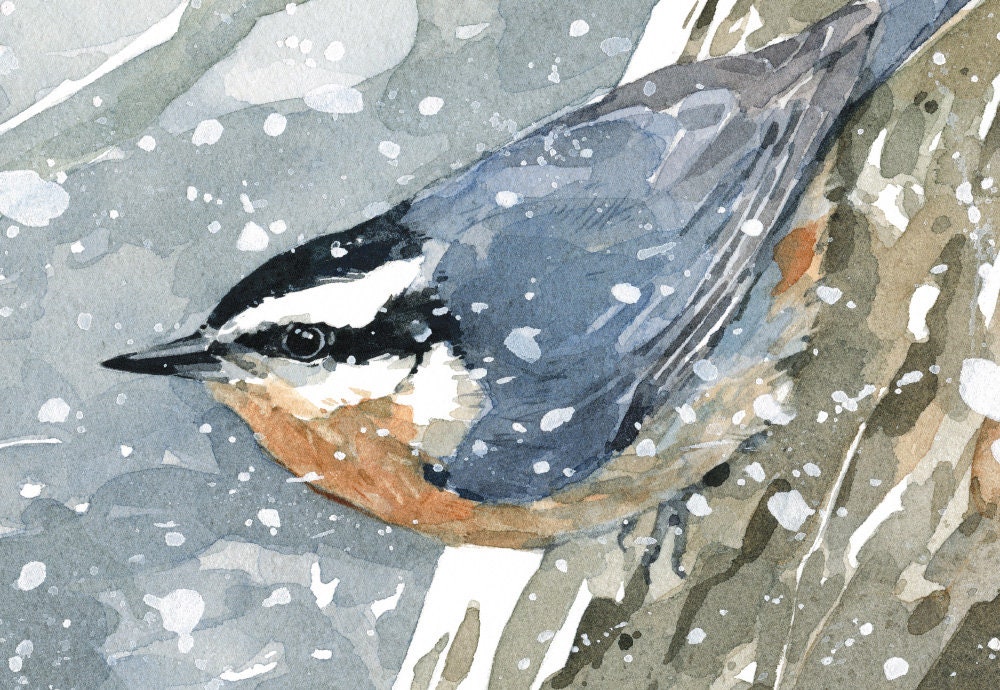 Nuthatch in Snow Watercolor Print, Bird Wall Art - Etsy