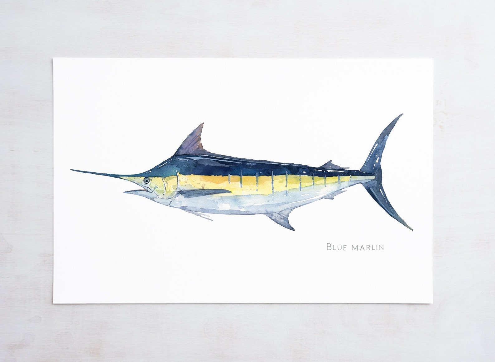 Blue Marlin Watercolor Print: Nautical Fish Painting - Etsy