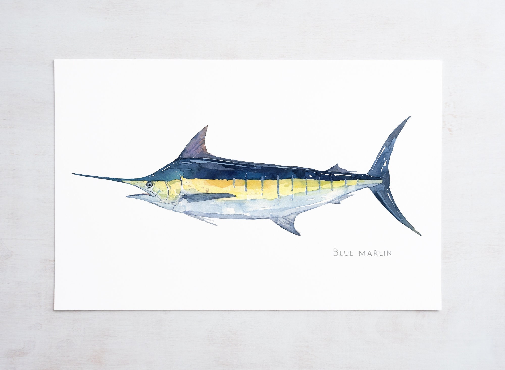 Blue Marlin Watercolor Print: Nautical Fish Painting - Etsy