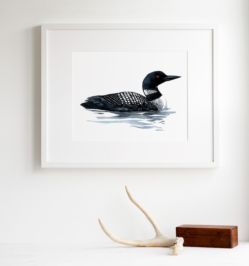 Loon Art Print Bird Watercolor Painting Coastal Wall Art - Etsy Canada