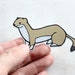 Weasel Vinyl Sticker Whimsical Animal Illustration - Etsy