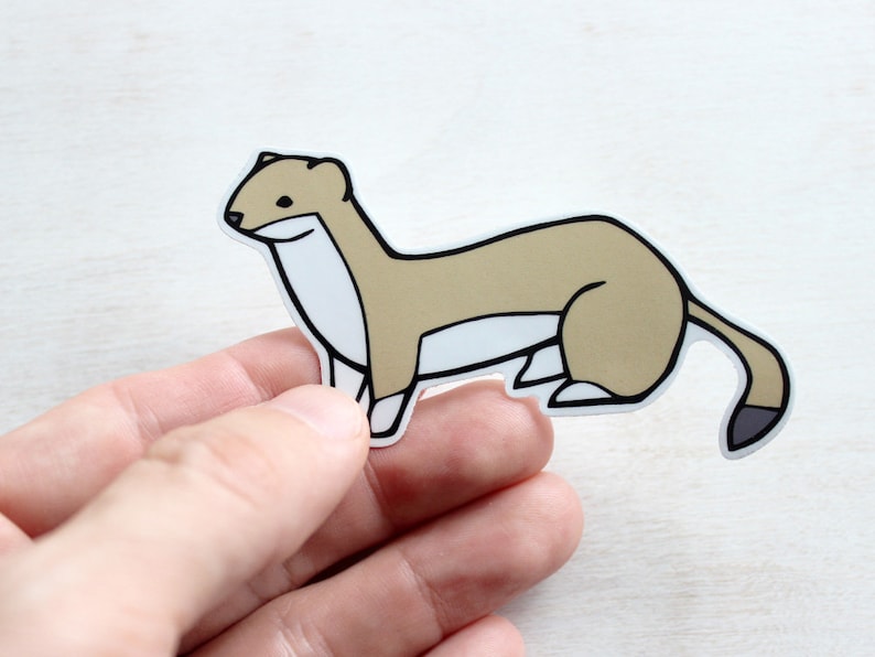 Weasel Vinyl Sticker Whimsical Animal Illustration | Etsy