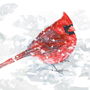 Red Cardinal in Snow Watercolor Painting 5x7 Bird Art Print - Etsy