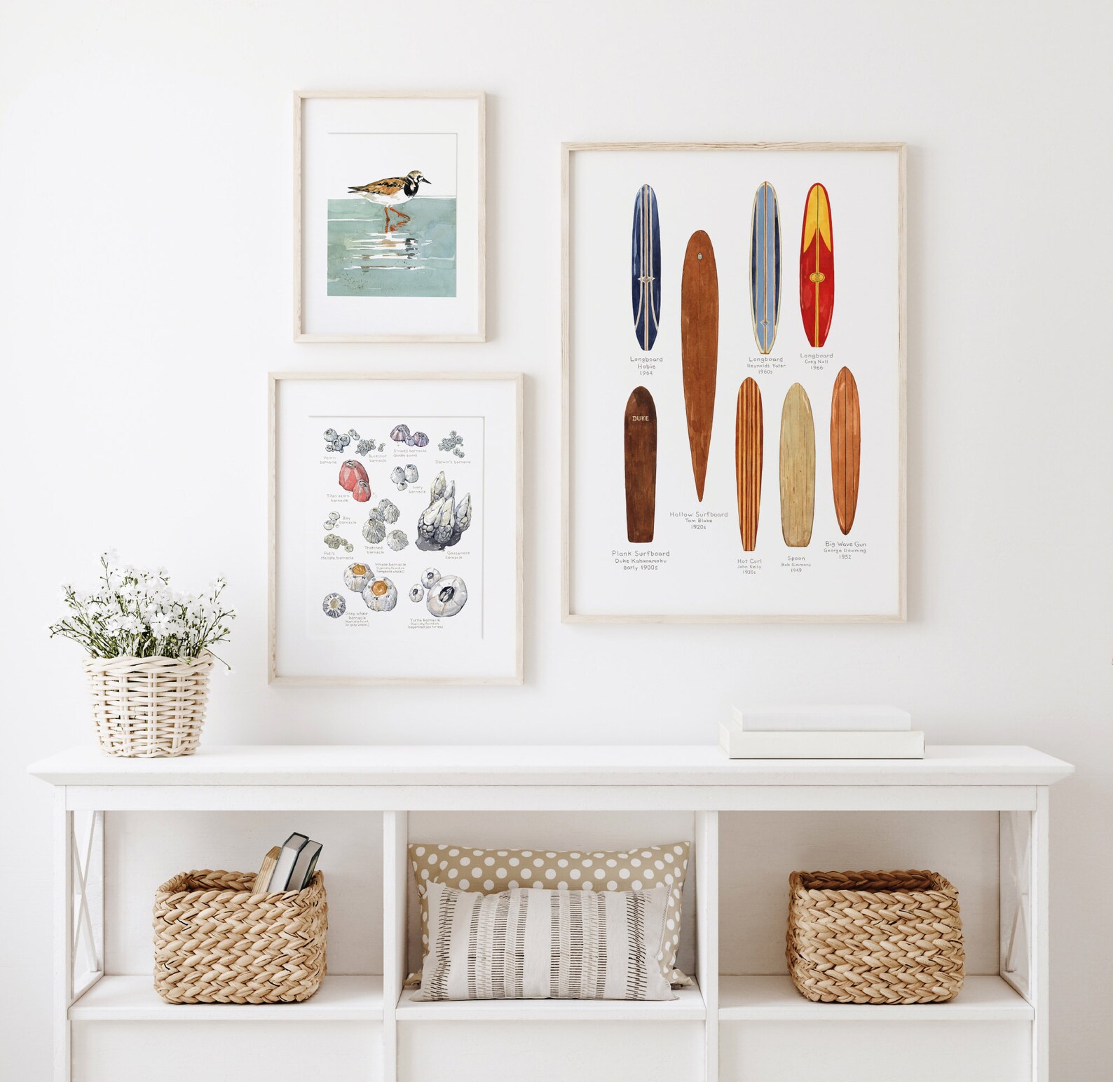 Barnacles Chart Art Print Nautical Watercolor Painting Coastal Wall ...
