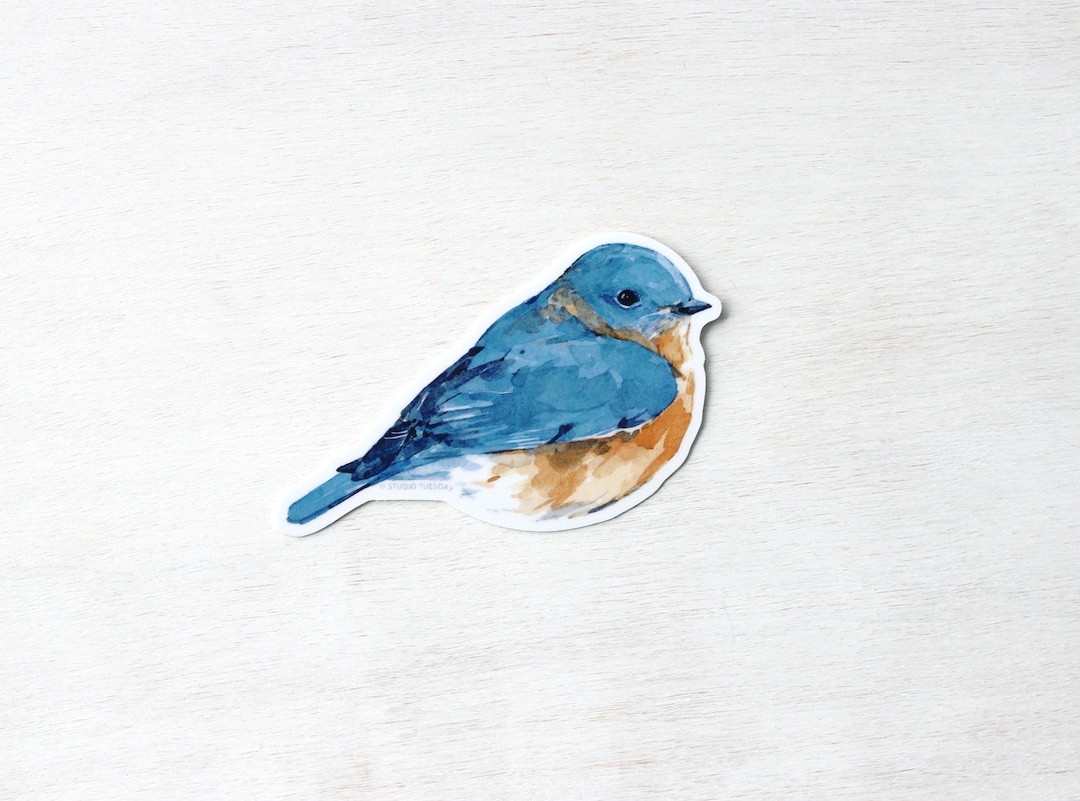 Bluebird Sticker Backyard Bird Sticker Bird Watcher Waterproof Vinyl ...
