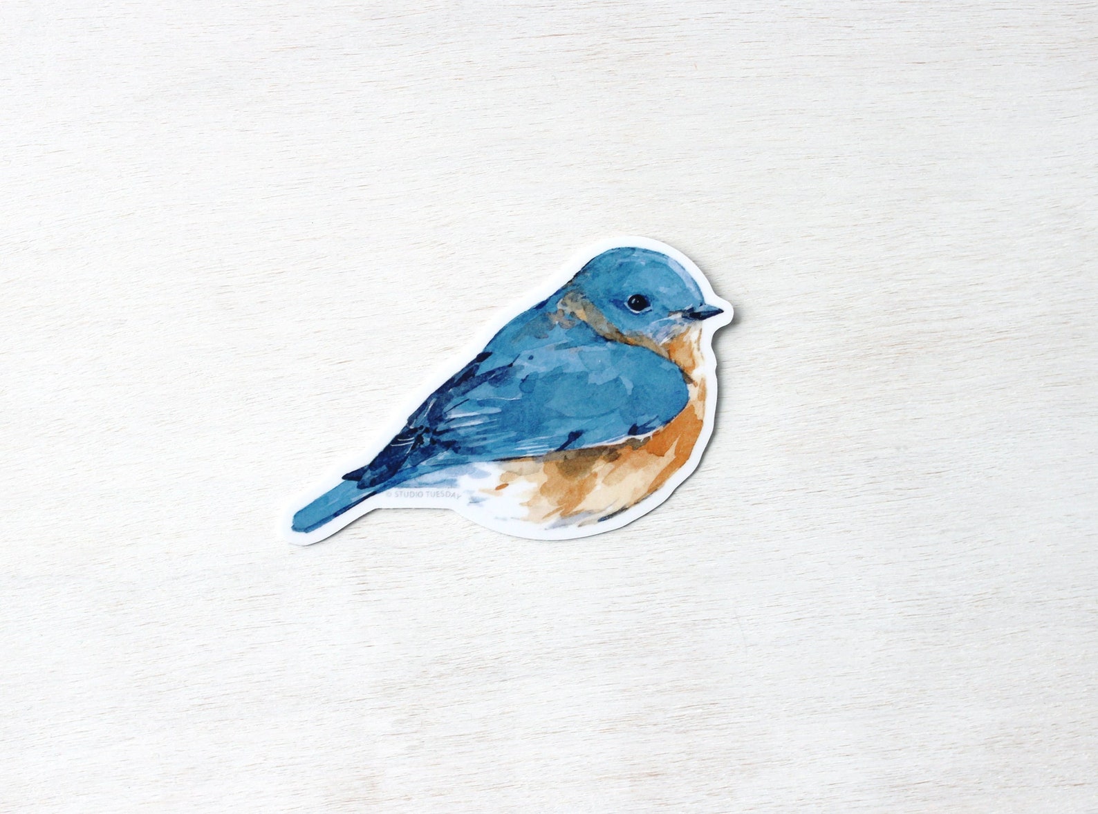 Bluebird Sticker Backyard Bird Sticker Bird Watcher Waterproof Vinyl ...