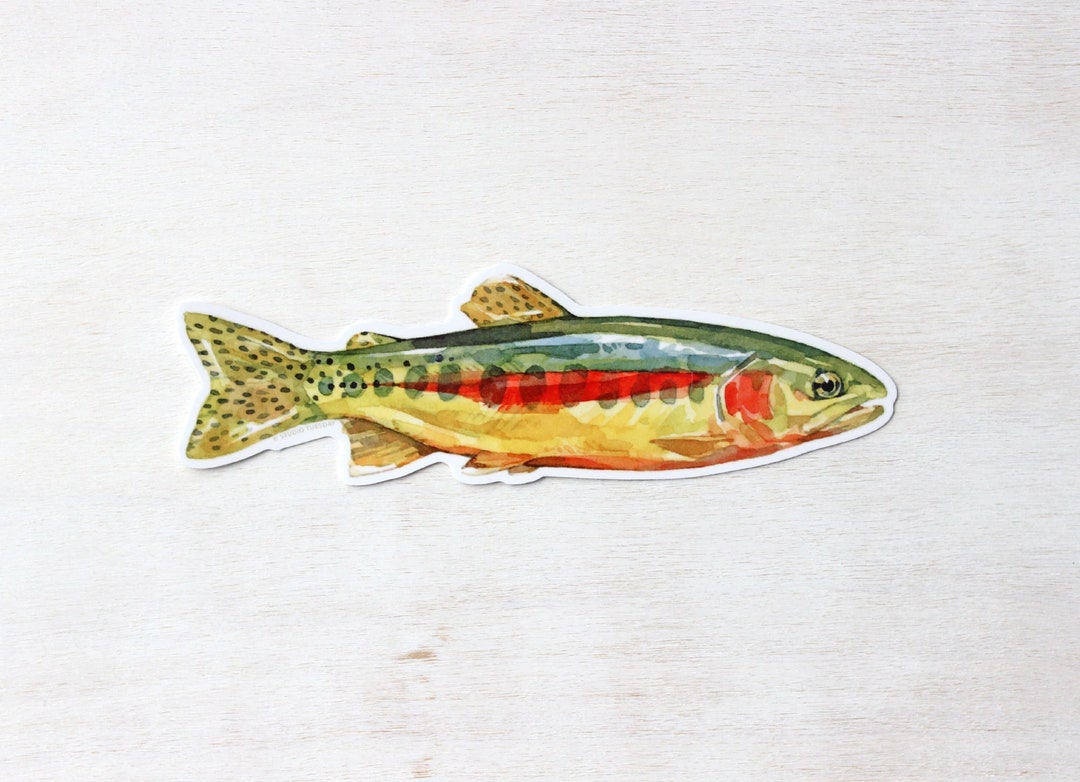 Golden Trout Sticker: Waterproof Vinyl Flyfishing Decal - Etsy
