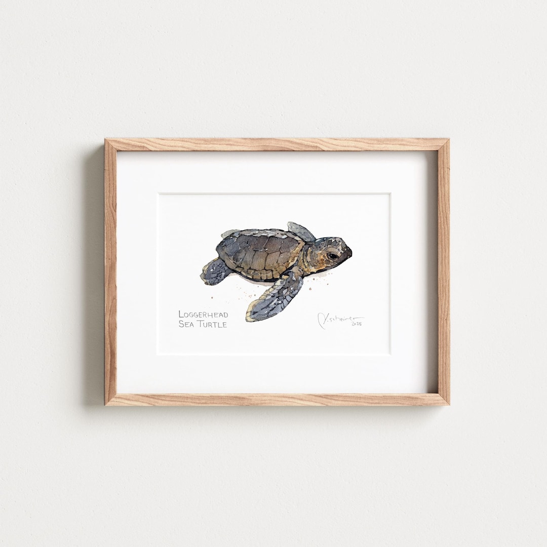 Loggerhead Sea Turtle Print: Fine Art Watercolor Giclee - Etsy