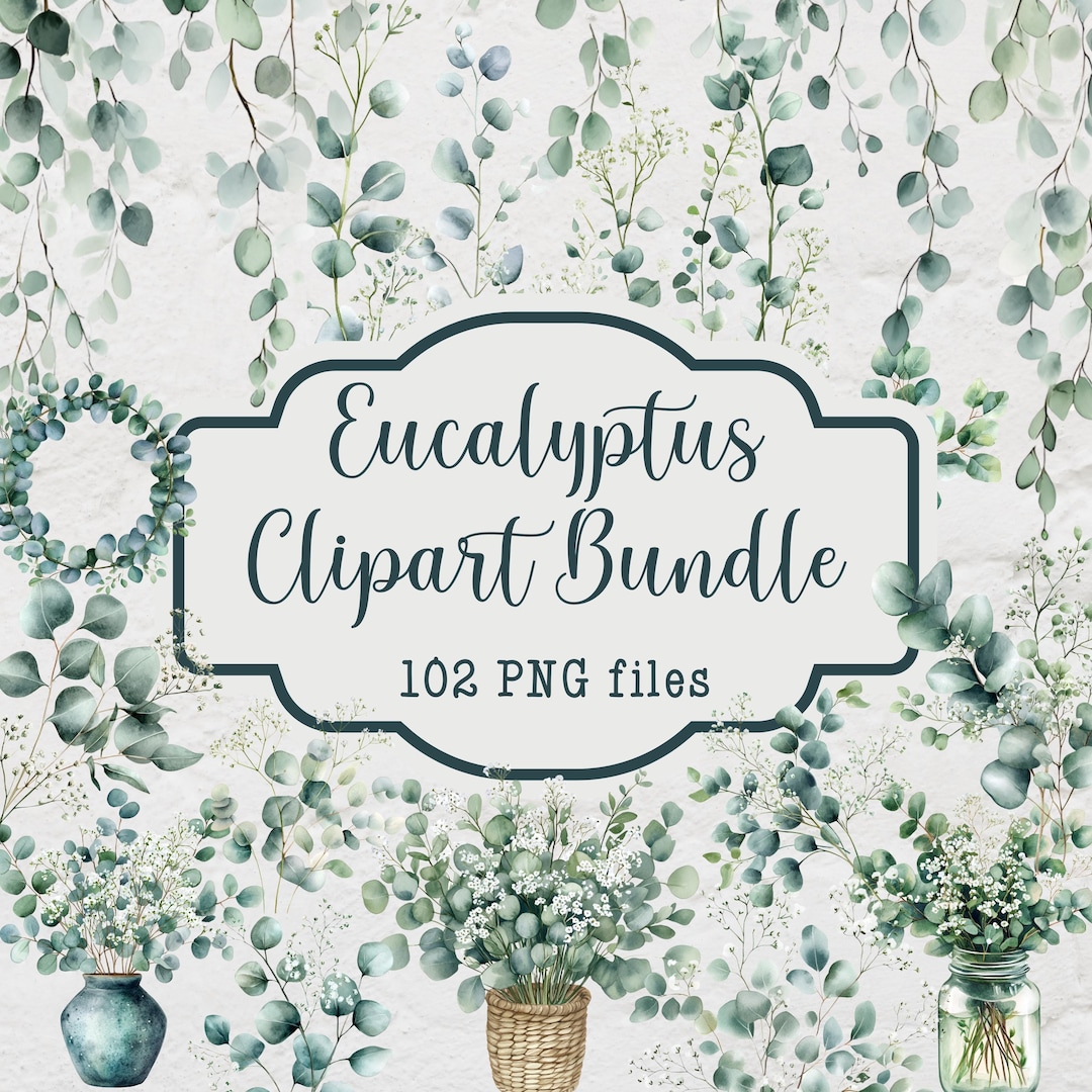 Eucalyptus Clipart Bundle, 102 Watercolor Eucalyptus PNG Files ...
