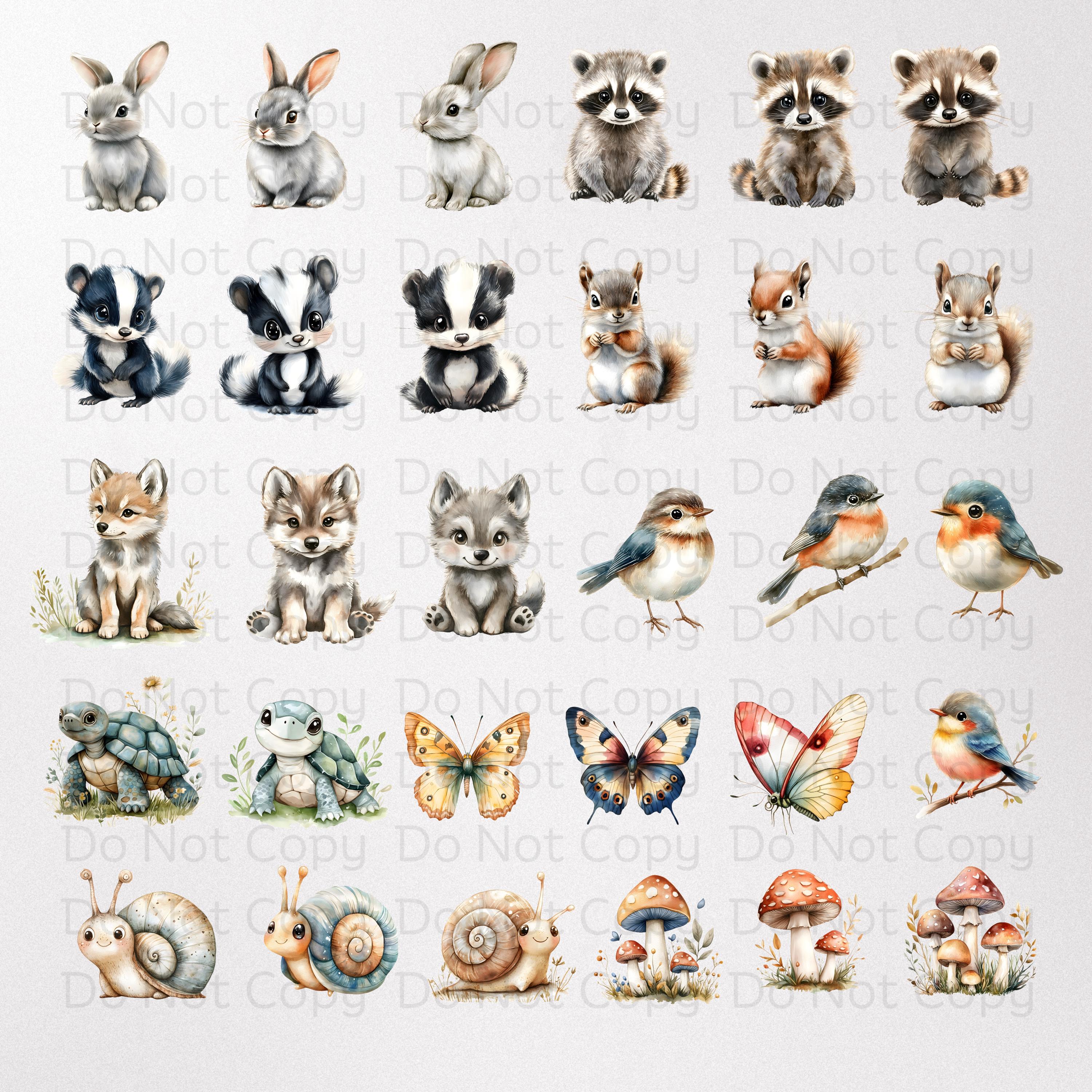 Woodland Animals Clipart Bundle, Watercolor Woodland Images, 90 PNG ...