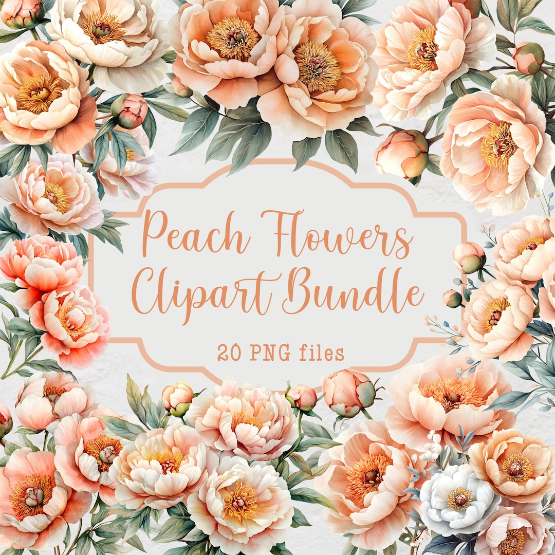 Peach Floral Clipart Bundle, Peach Flowers Clipart Images, 20 Floral ...