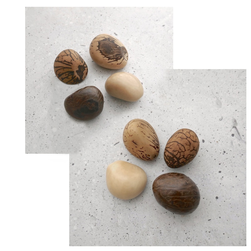 Tagua Nut Jewelry - Etsy