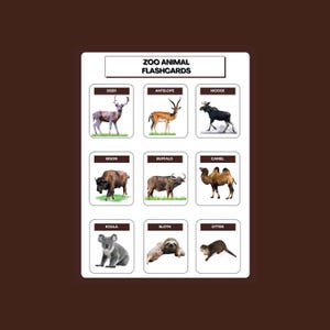 Zoo Animals Flashcards for Kids 36 Vibrant Animal Cards Perfect for ...
