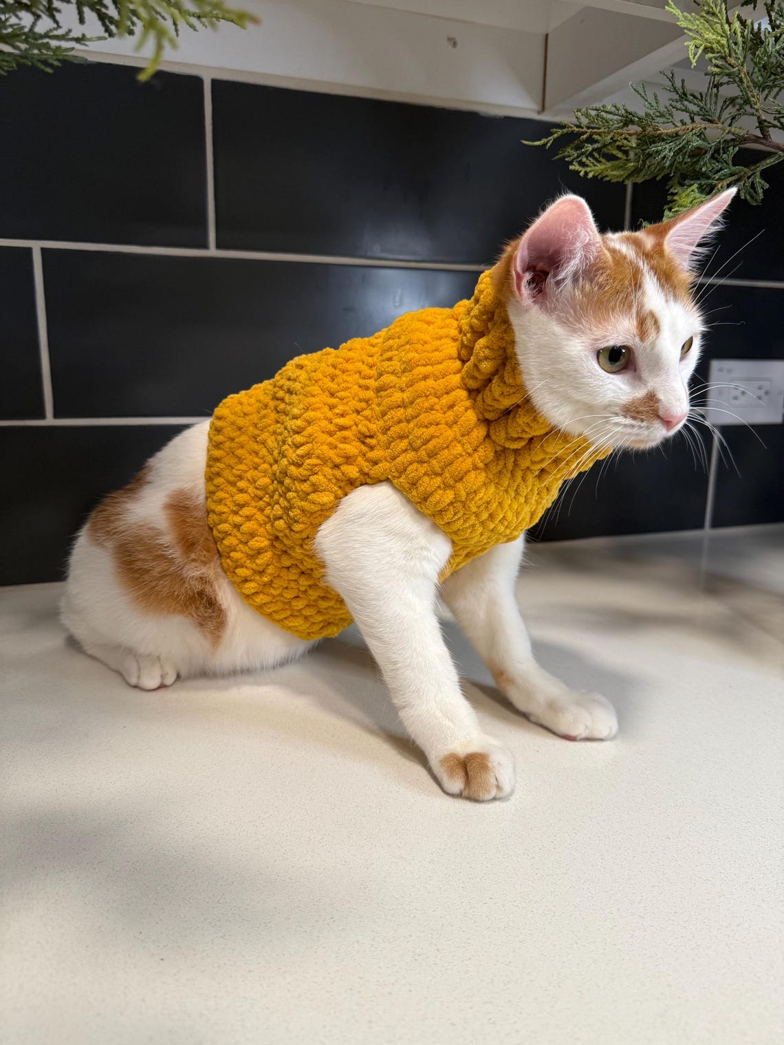 Handmade Crocheted Cat Sweater: Cozy Pet Clothing - Etsy