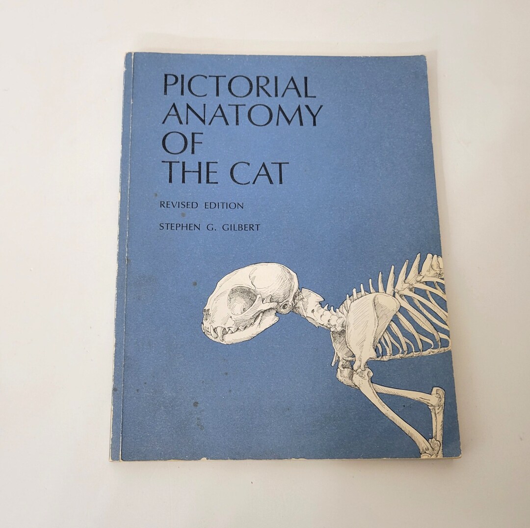 Pictorial Anatomy of the Cat, Revised Edition by Stephan G. Gilbert - Etsy