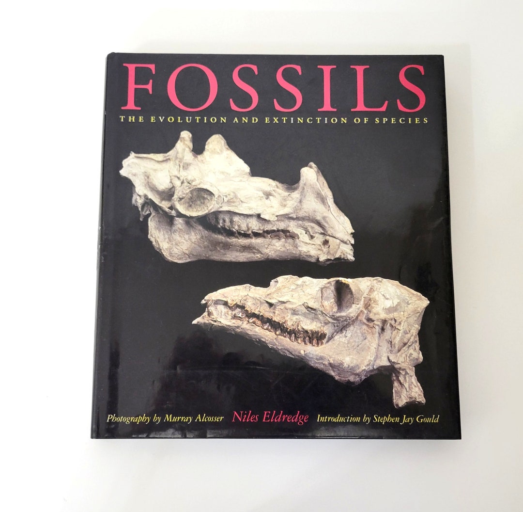 Fossils, the Evolution and Extinction of Species by Niles Eldredge - Etsy