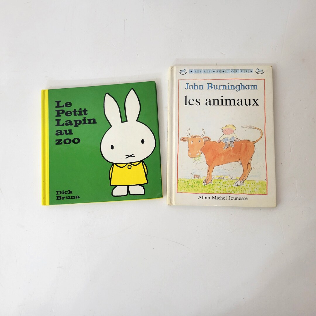 French Children's Books Le Petit Lapin Au Zoo by Dick Bruna - Etsy