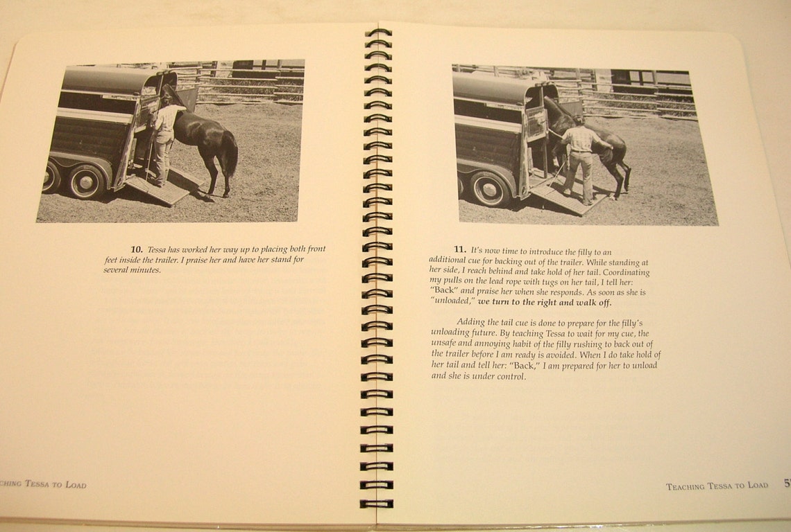 Trailer Loading Success A Step by Step Guide for Training - Etsy