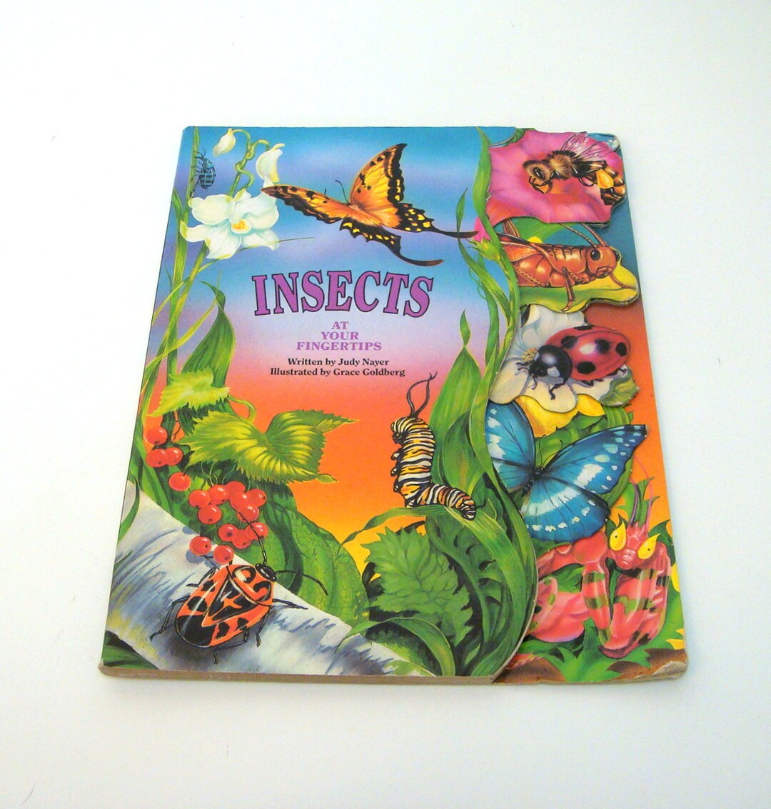 Insects at Your Fingertips by Judy Nayer, Children's Board Book - Etsy