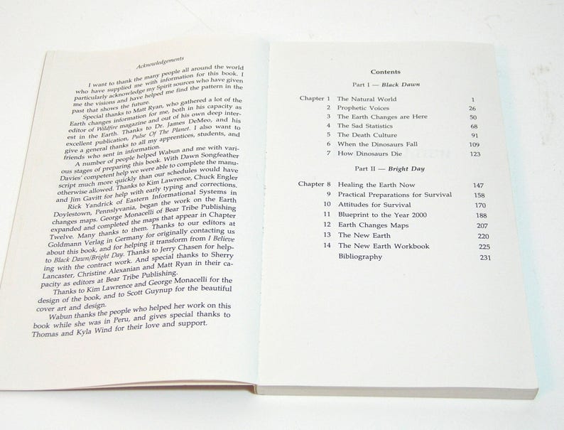 Black Dawn Bright Day Indian Prophecies by Sun Bear With | Etsy