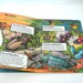 Insects at Your Fingertips by Judy Nayer, Children's Board Book - Etsy