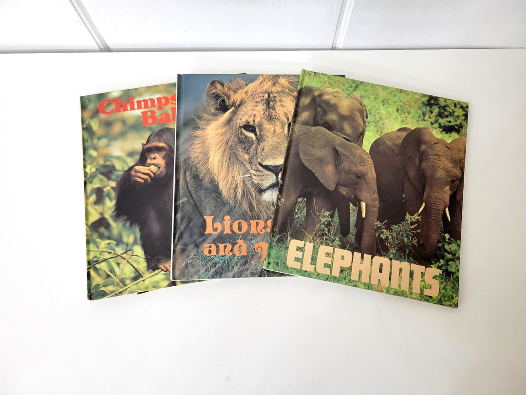 Ranger Rick's Best Friends Nature Books, Set of Three, Elephants, Lions ...