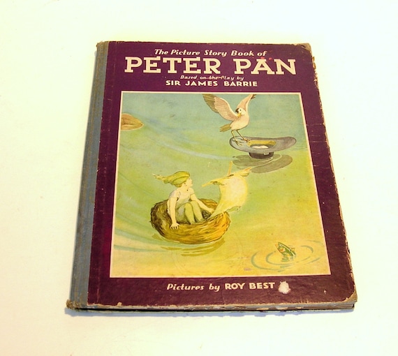 The Picture Story Book of Peter Pan Pictures by Roy Best 1931 | Etsy