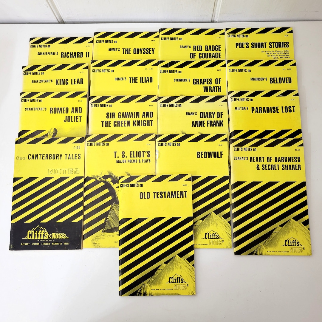 Vintage Cliffs Notes Book Collection Seventeen Books - Etsy