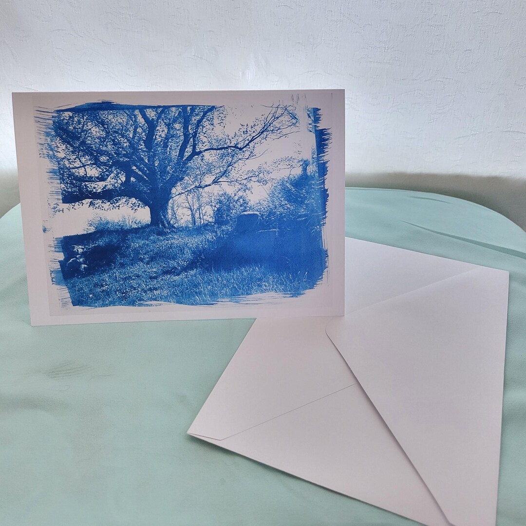Old Oak Tree Cyanotype Greeting Card - Reproduction of Original Print ...