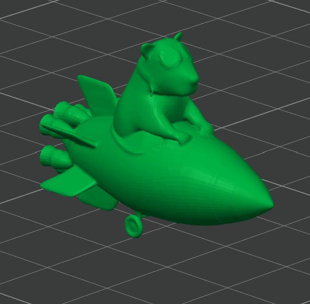 Capybara in Rocket Ship - Etsy