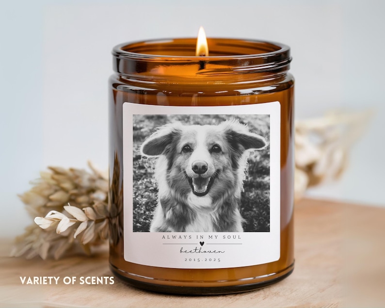 Custom Pet Photo Memorial Candle: Dog Remembrance Gift - Etsy