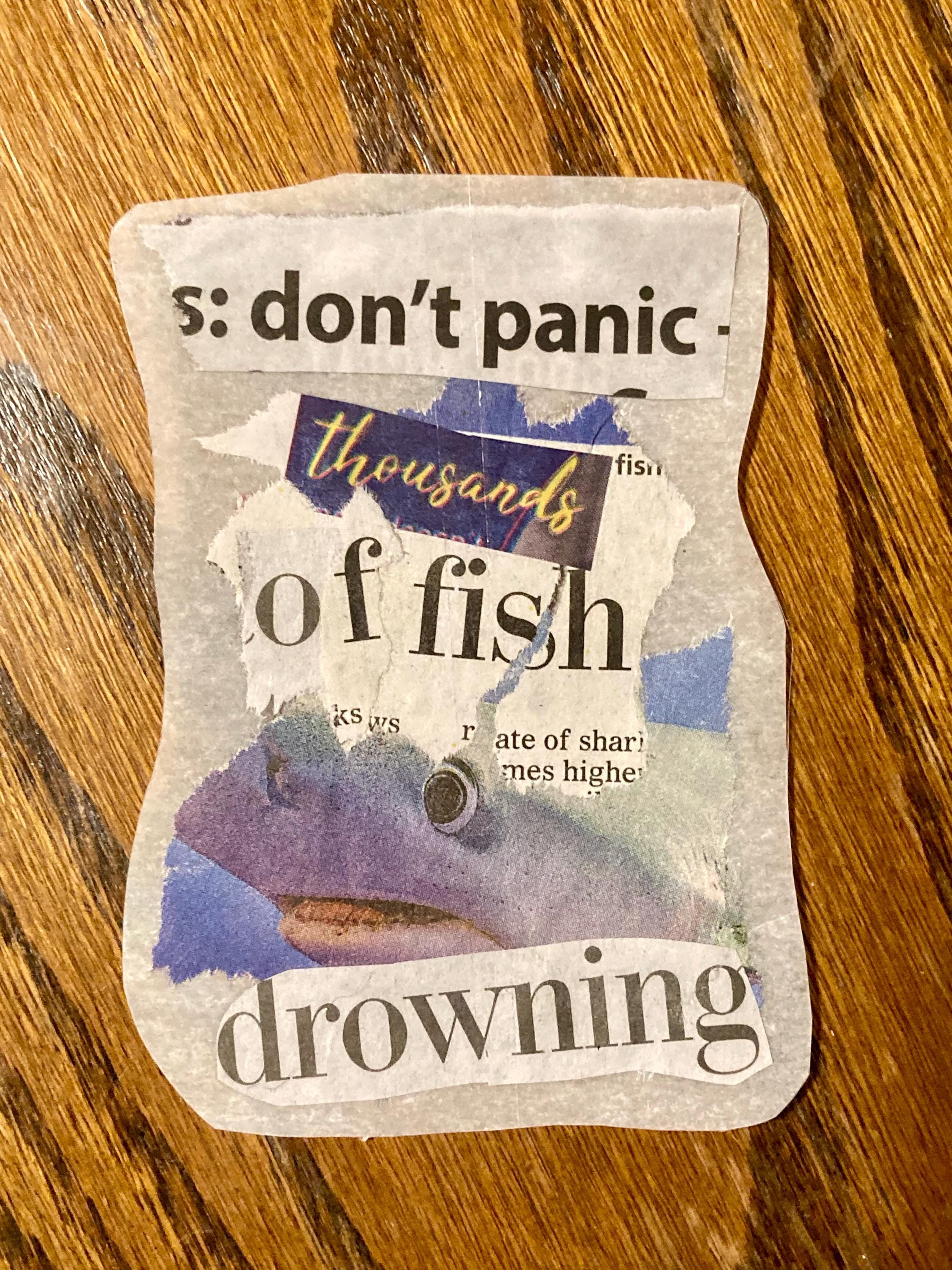 SURPRISE Weirdcore Newspaper Sticker - Etsy
