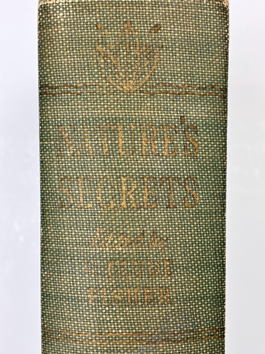Nature’s Secrets 1927 Antique Natural History Book Illustrated Plants ...