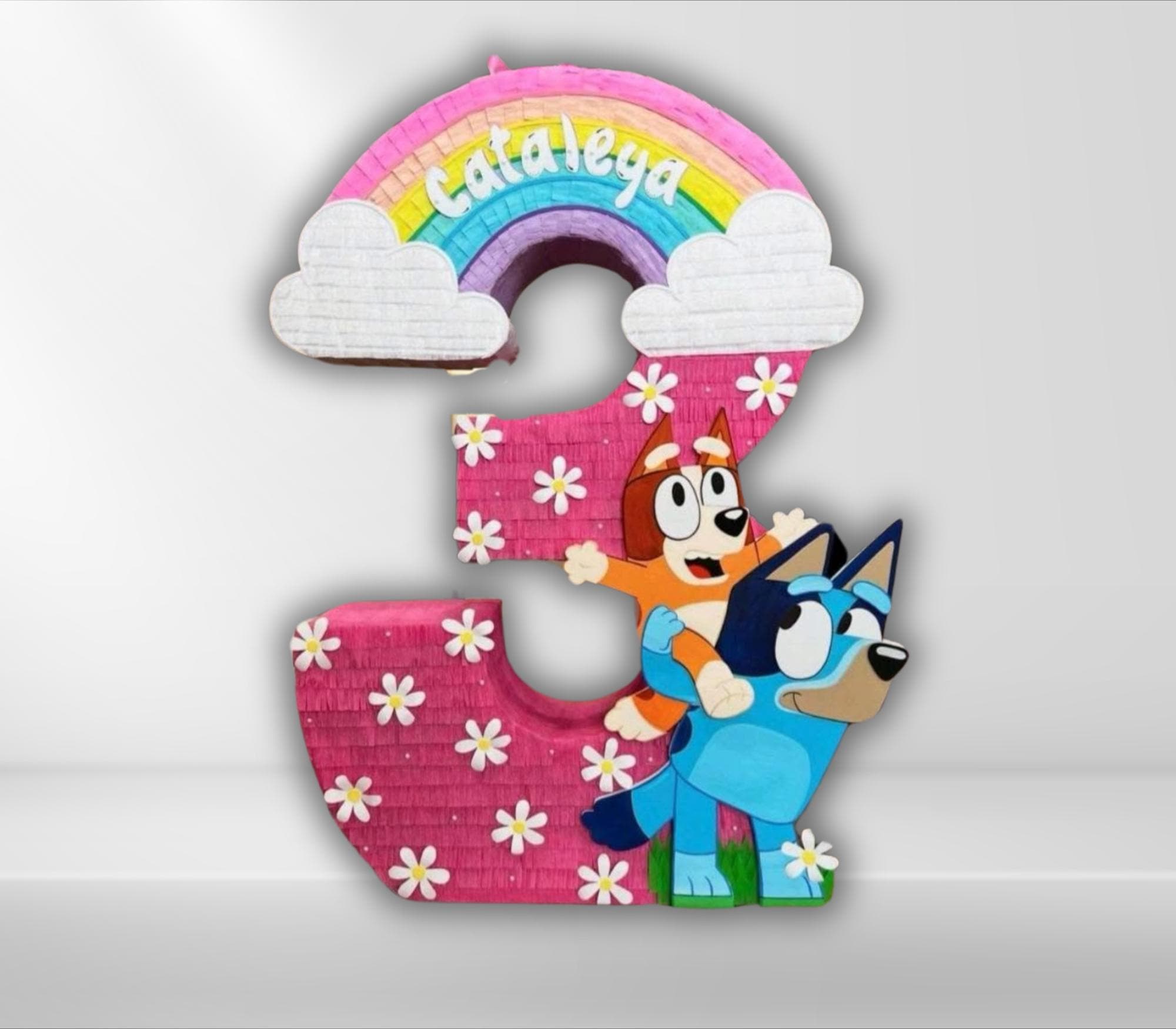 Bluey Pinata - Birthday - Number Pinata - Etsy