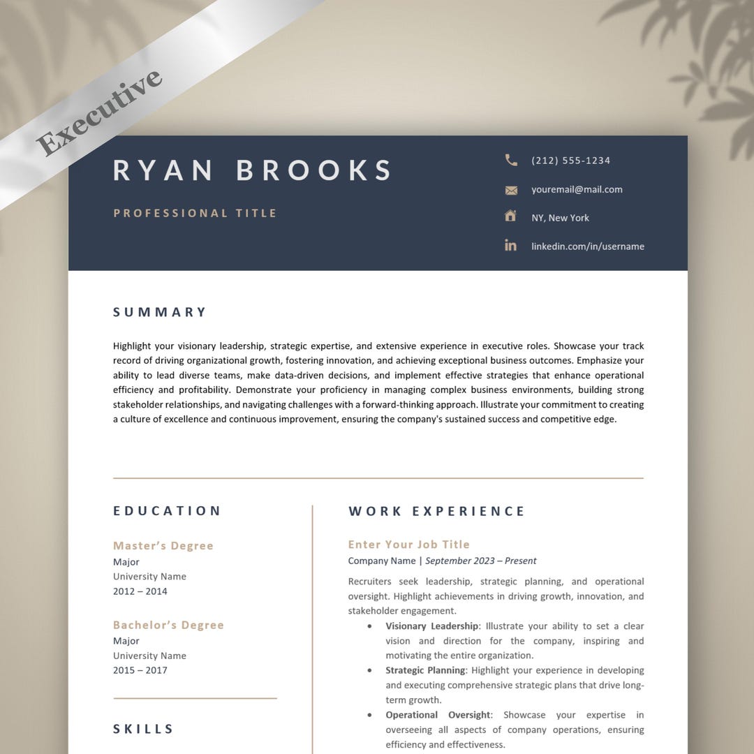 1-3 Page CEO Resume, CV Template for Word, Customizable CV, Executive ...